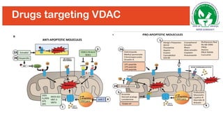 Mitochondrial dysfunction in Neurodegenerative Disorders | PPT