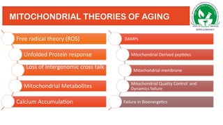 Mitochondrial dysfunction in Neurodegenerative Disorders | PPTX