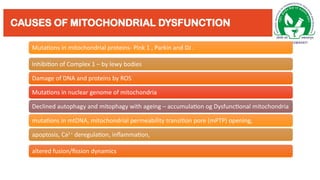 Mitochondrial dysfunction in Neurodegenerative Disorders | PPTX