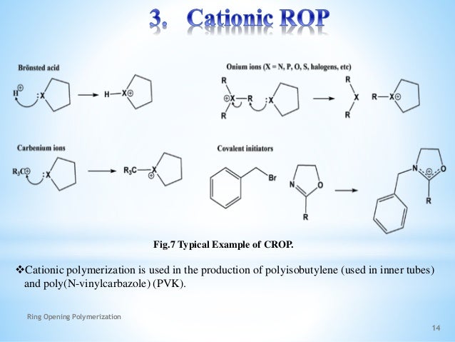Polymer Synthesis