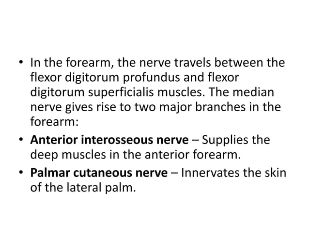 course and landmark of median nerve | PPT