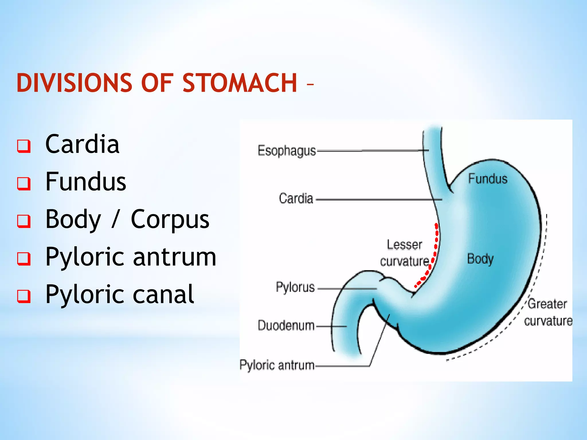 Gastric Cancer / Carcinoma management | PPTX