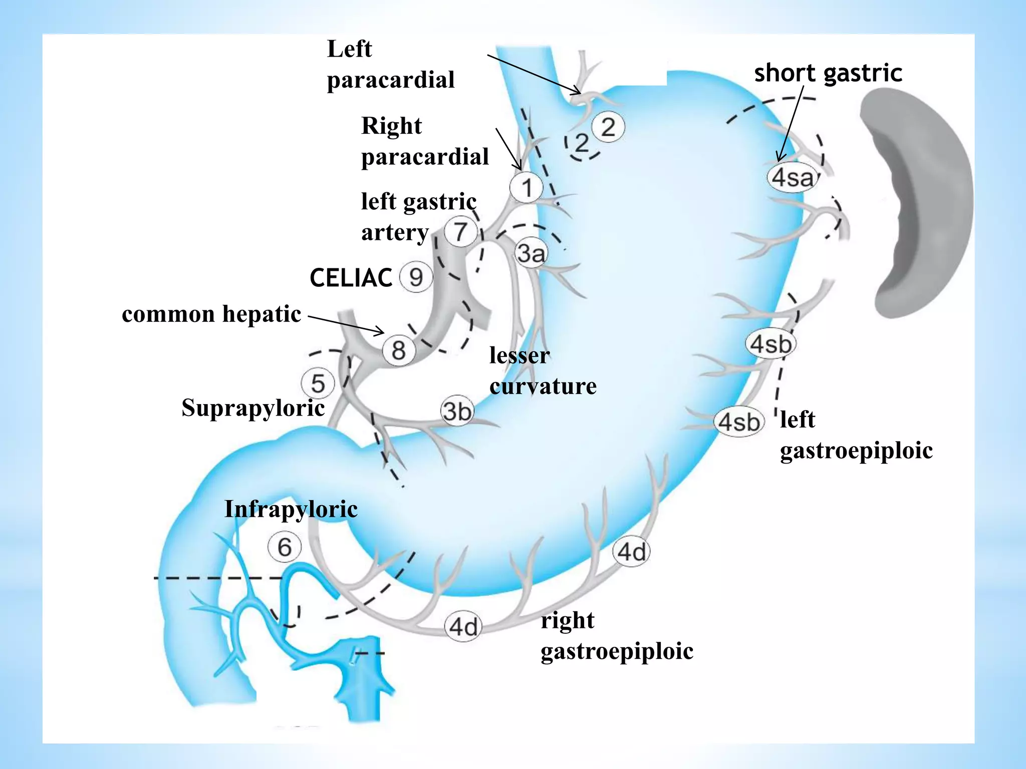 Gastric Cancer / Carcinoma management | PPTX
