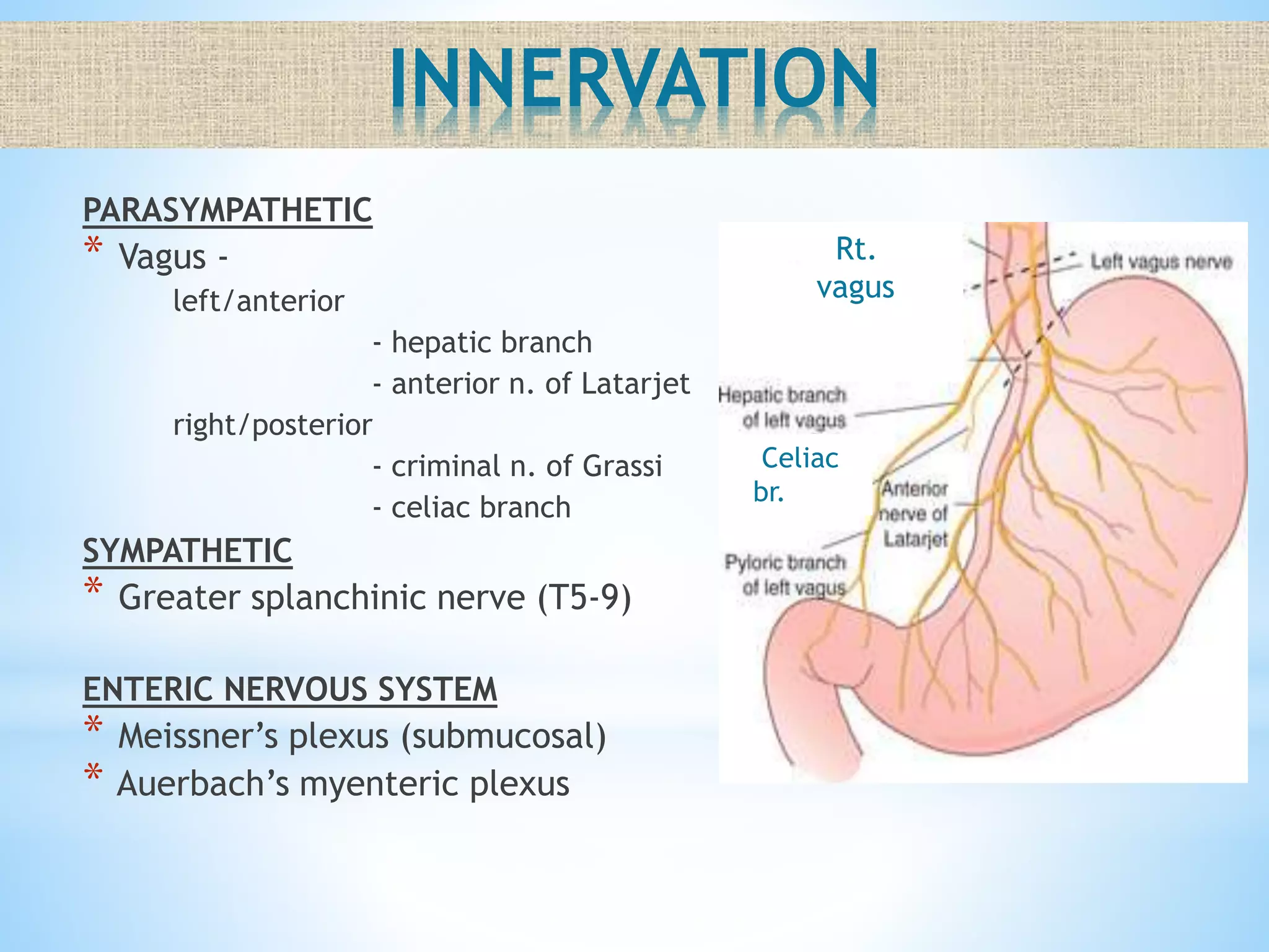 Gastric Cancer / Carcinoma management | PPTX
