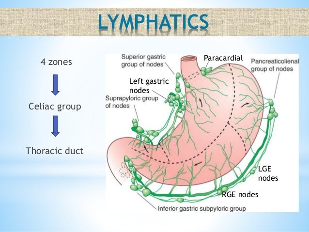 Gastric Cancer / Carcinoma management