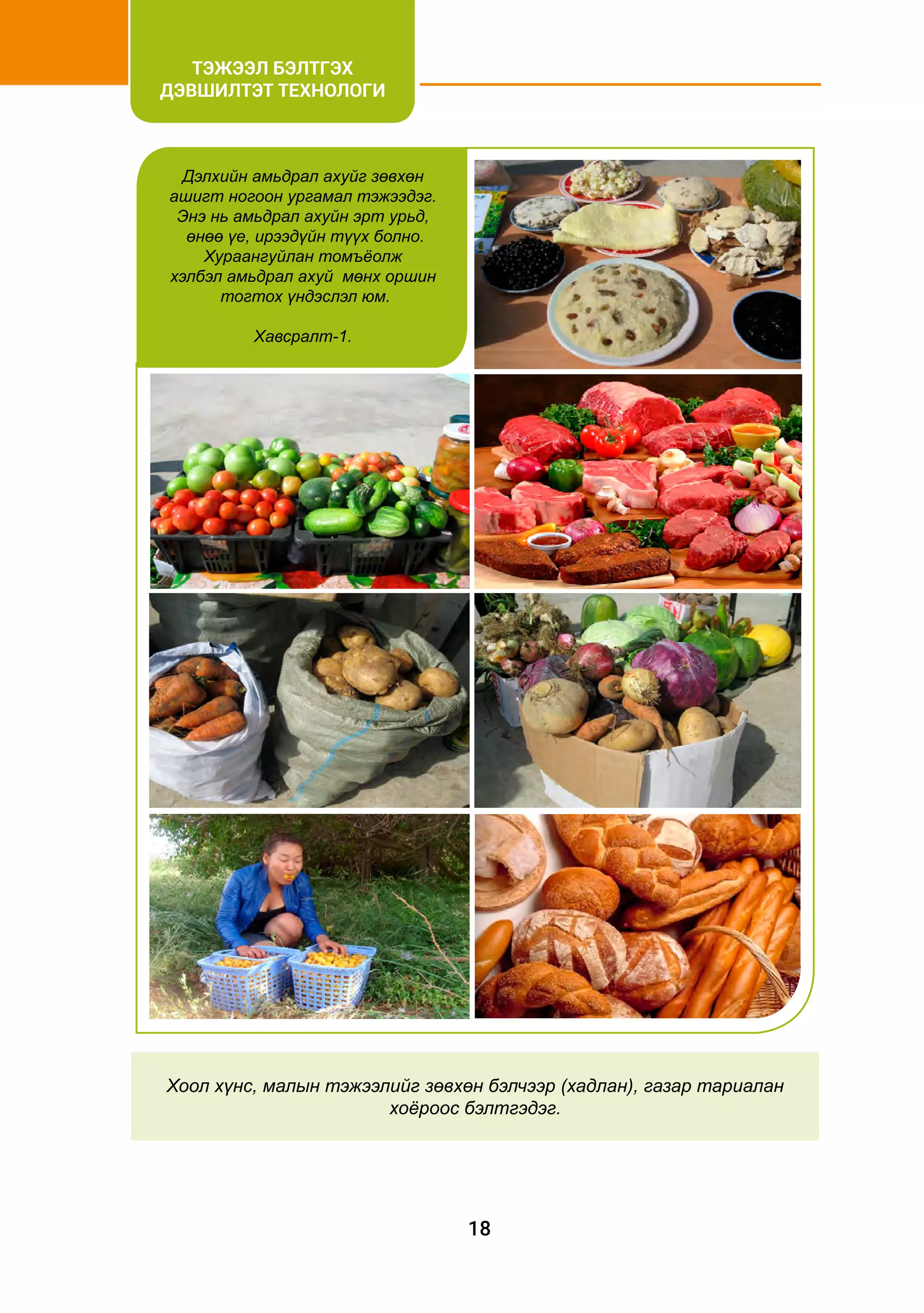 Тэжээл бэлтгэх дэвшилтэт технологи Pdf