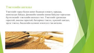 Tejeeliin angilal | PPT