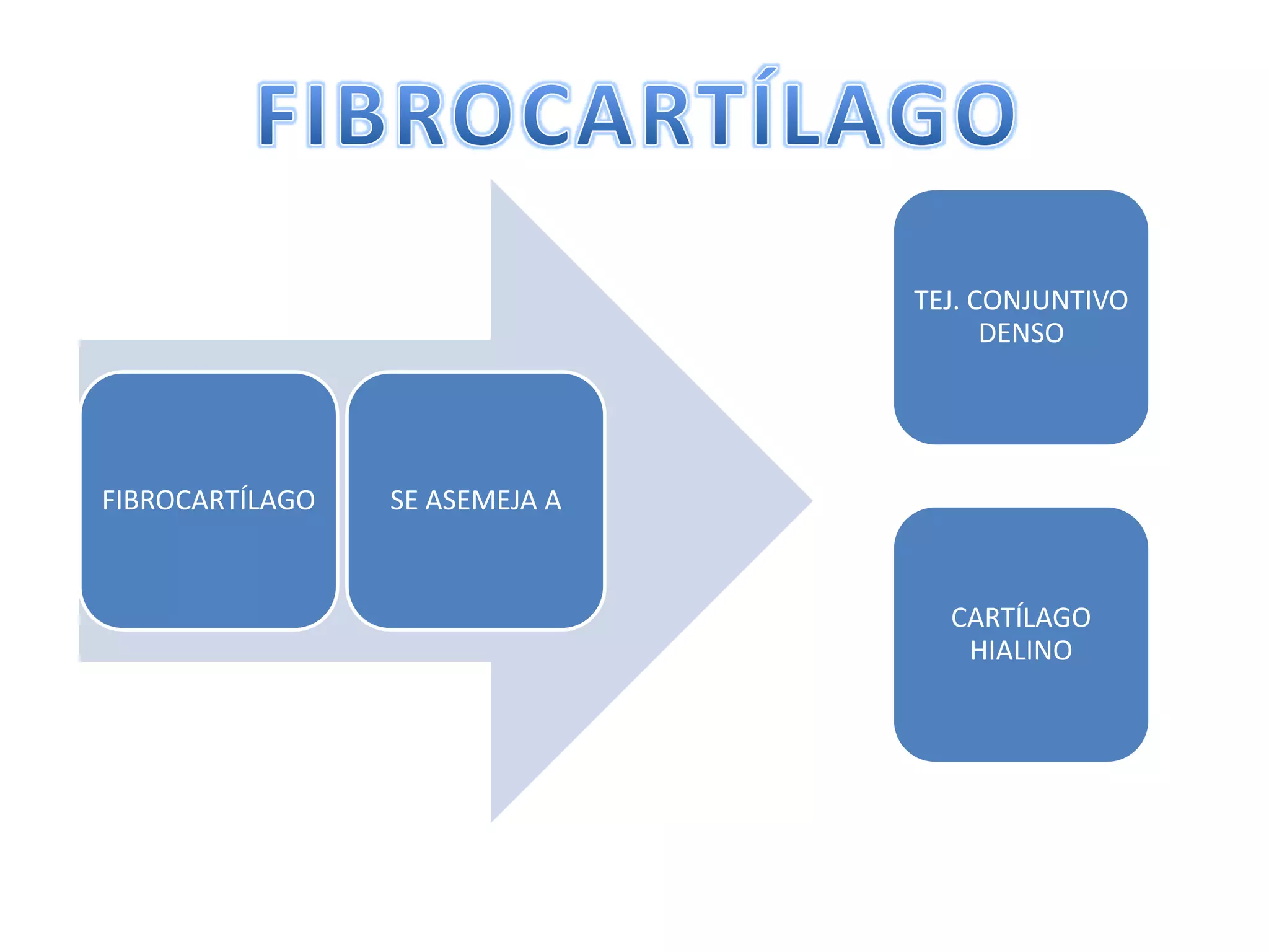FIBROCARTILAGO | PPTX
