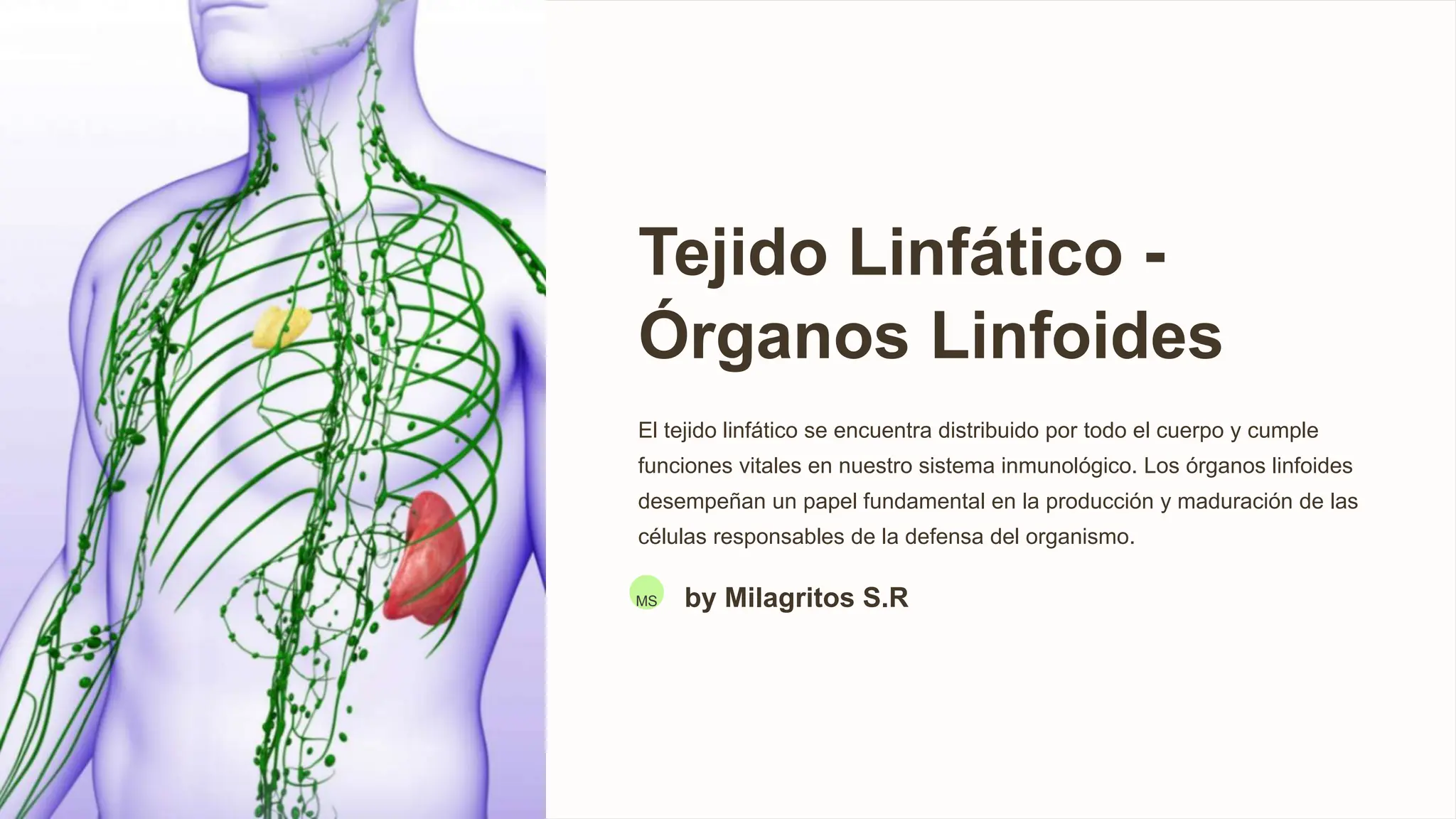 Tejido-Linfatico-Organos-Linfoides.pptx