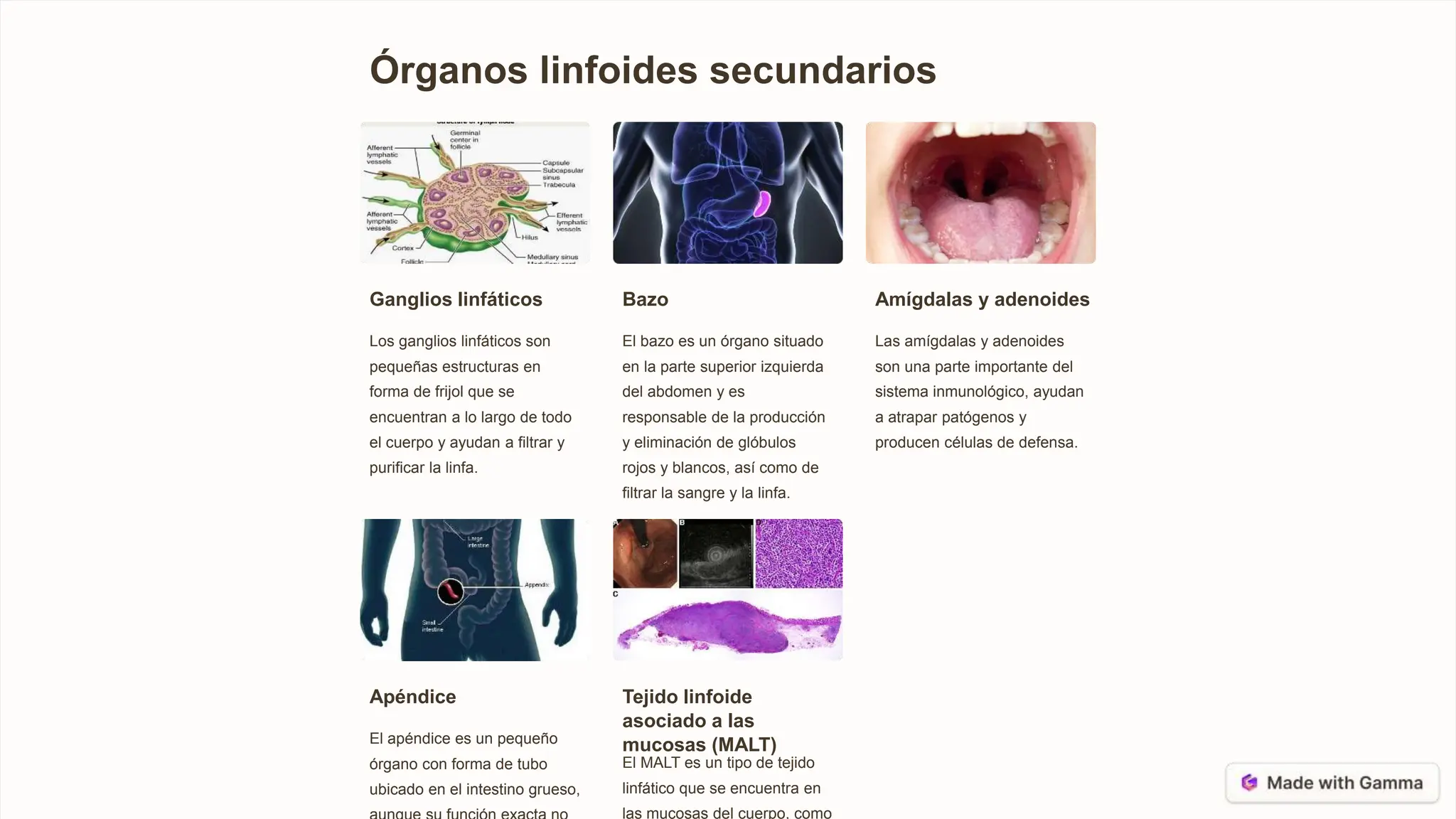 Tejido-Linfatico-Organos-Linfoides.pptx