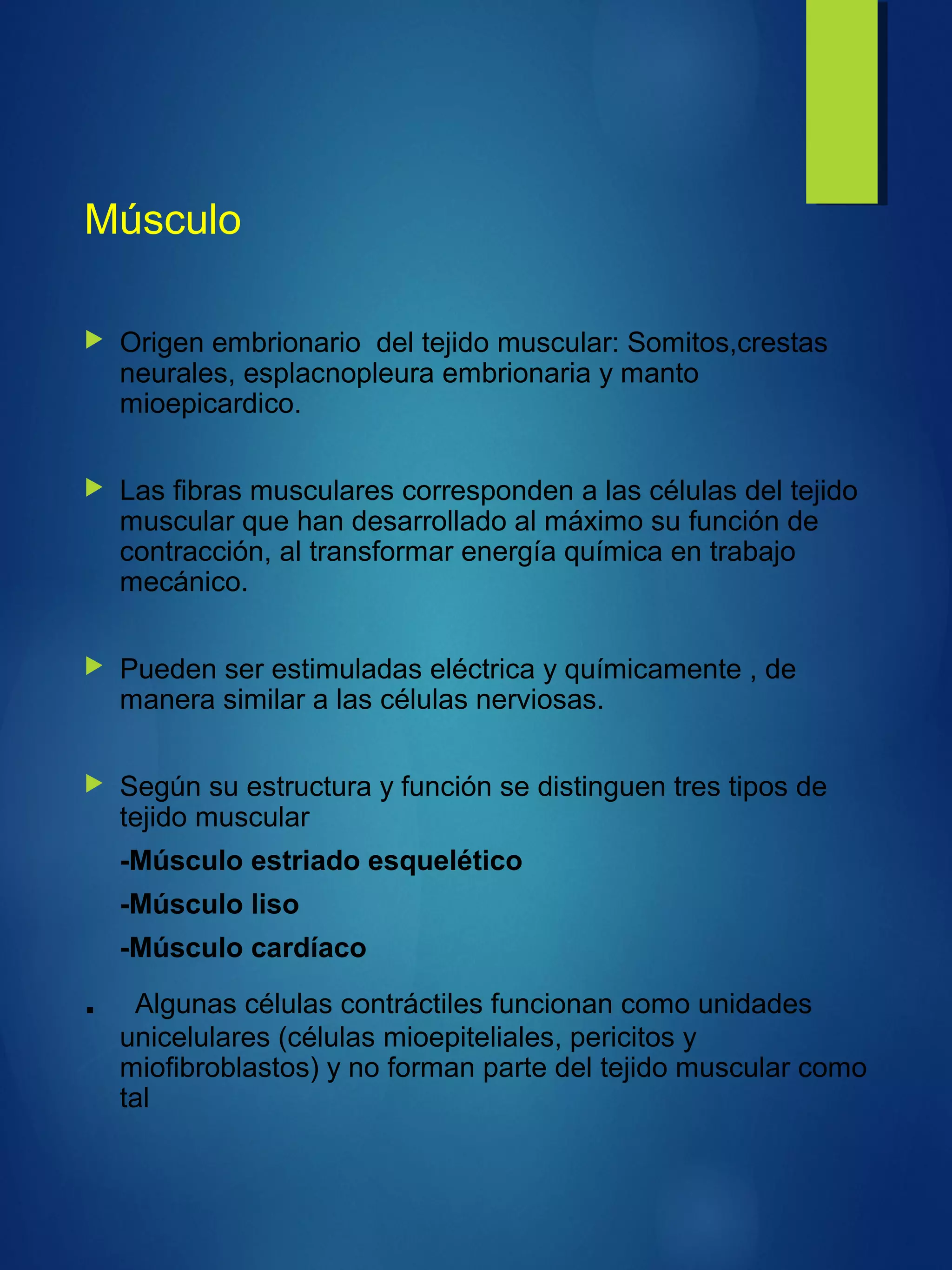Tejido-muscular | PPT