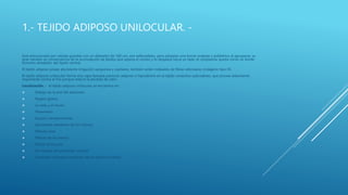 Tejido adiposo. y sus diferentes caracteristicas | PPTX