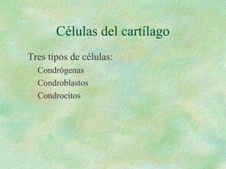 Tejido cartilaginoso | PPT