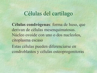 Tejido cartilaginoso | PPT