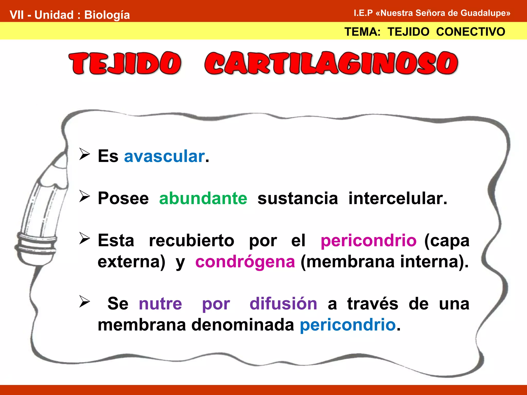 Tejido cartilaginoso | PPT