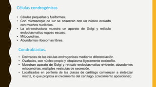 Tejido cartilaginoso | PPTX