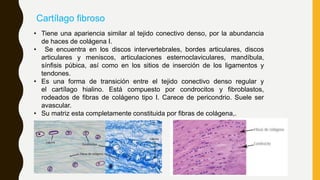 Tejido cartilaginoso | PPTX