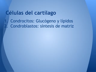 Tejido cartilaginoso.pdf