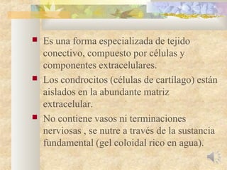 Presentacion del tejido cartilaginoso y sus funciones | PPTX