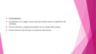 Tejido cartilaginoso; principales componentes | PPTX