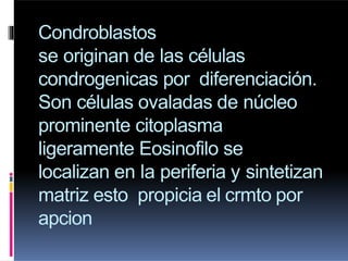 TEJIDO CARTILAGINOSO.pptx MEDICINA UNEFM | PPTX