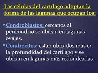 TEJIDO CARTILAGINOSO presentacion de histo | PPTX
