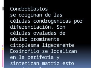 TEJIDO CARTILAGINOSO CATILAGO HIALINO Y ELASTICO 2023.pptx