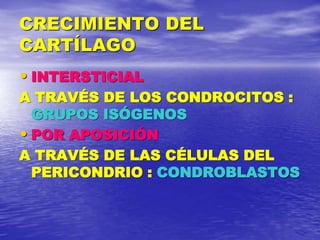 TEJIDO CARTILAGINOSO | PPT
