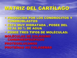 TEJIDO CARTILAGINOSO | PPT