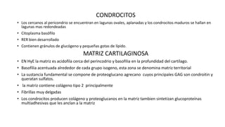 Tejido cartiloaginoso | PPTX