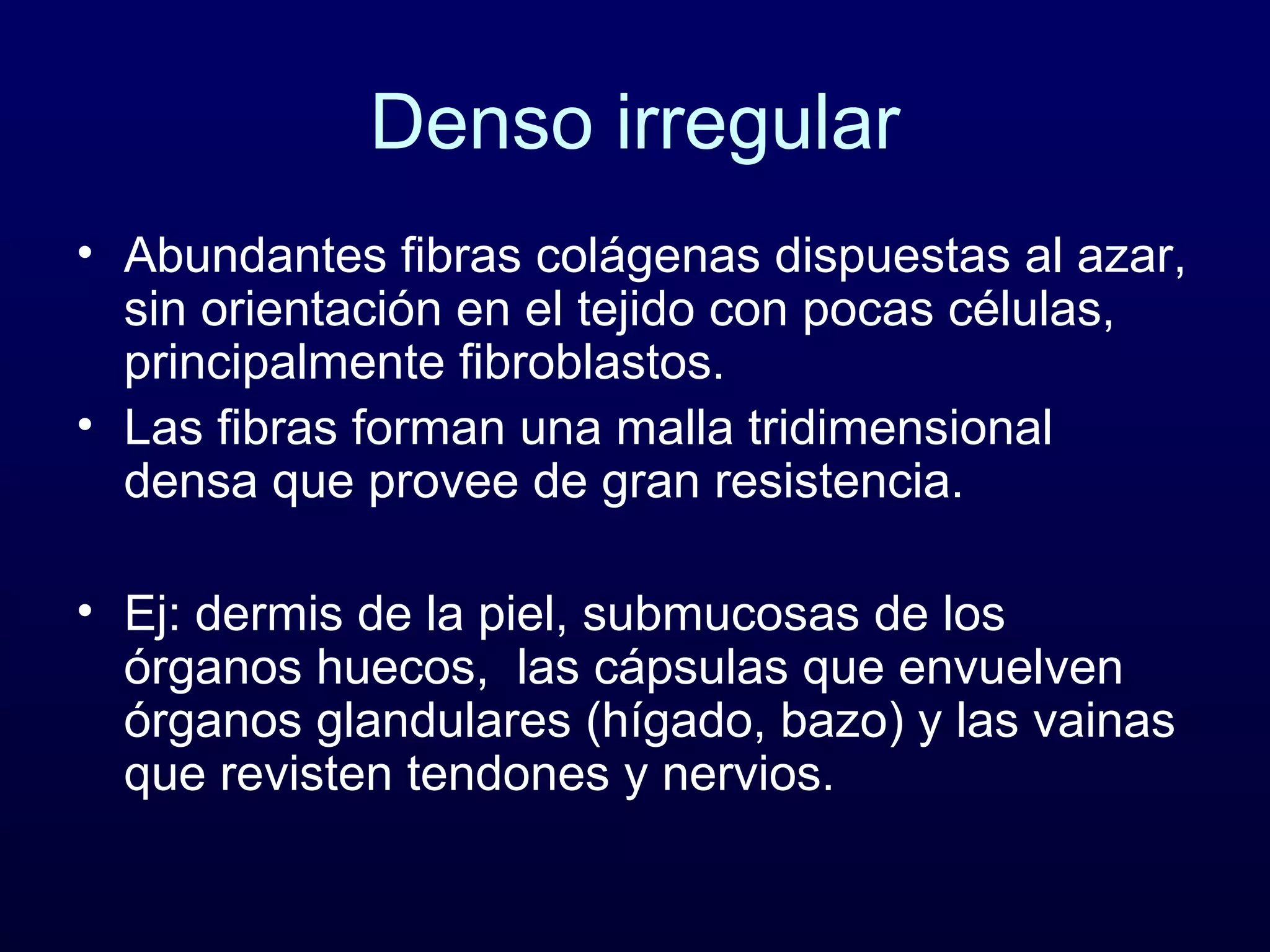 Tejido Conectivo Ppt