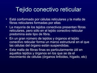 Tejido conectivo | PPT