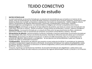 Tejido conectivo Histologia | PPT