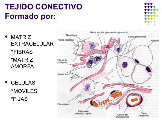 Matriz De Tejido De Hugo
