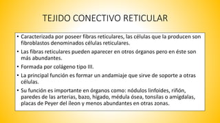 Tejido Conectivo.pptx