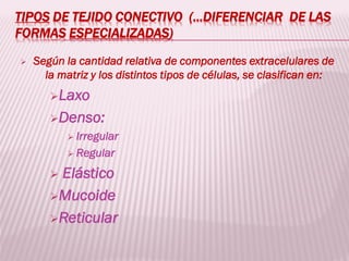 Presentación de tejido conectivo y demas | PDF