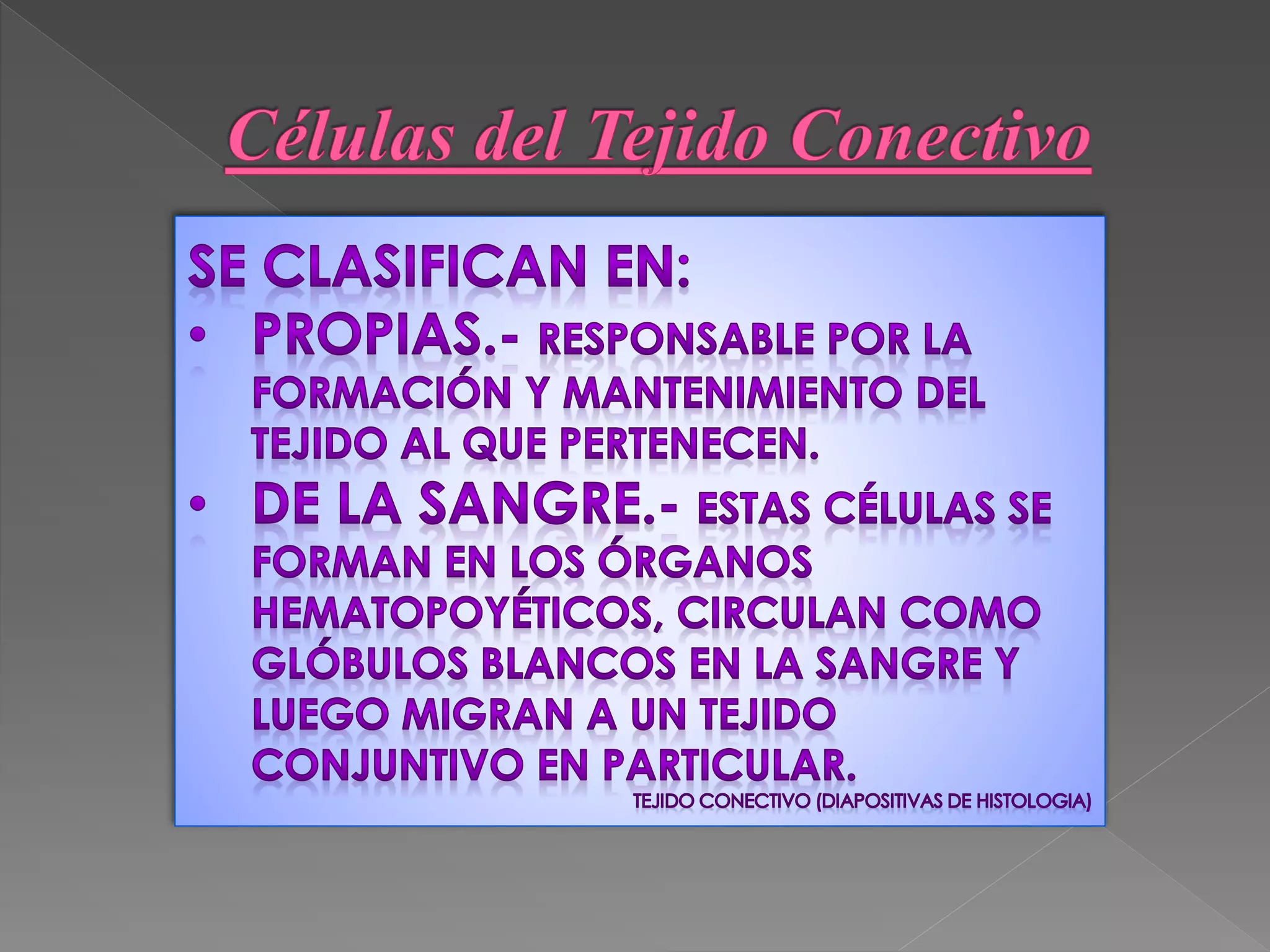 Tejido Conectivo Ppt