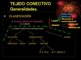 TEJIDO CONJUNTIVO histología de la bibliografía Ross | PPT