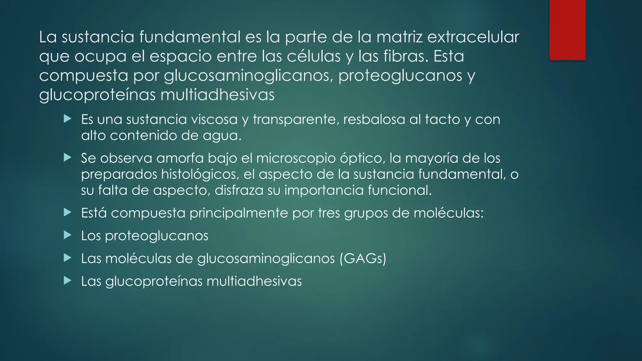 Tejido Conjuntivo basado en el libro de Histología y Embriología de ...
