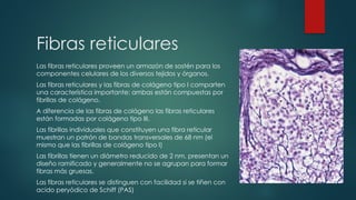 Tejido Conjuntivo basado en el libro de Histología y Embriología de ...