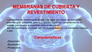 TEJIDO EPITELIAL Presentacion de power point | PPTX