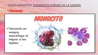 TEJIDO HEMATICO enpdf para tu disfrute xd | PPT