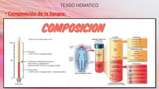 TEJIDO HEMATICO enpdf para tu disfrute xd | PPT