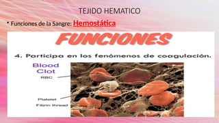 TEJIDO HEMATICO enpdf para tu disfrute xd | PPT