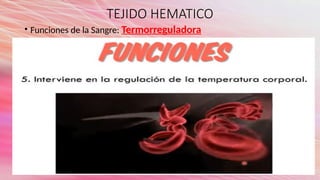 TEJIDO HEMATICO enpdf para tu disfrute xd | PPT