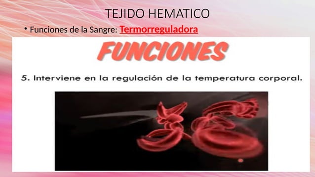 TEJIDO HEMATICO enpdf para tu disfrute xd | PPT
