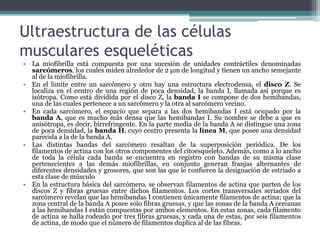 Tejido muscular | PDF