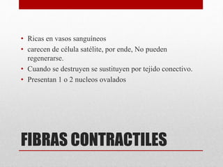 Tejido muscular | PPTX