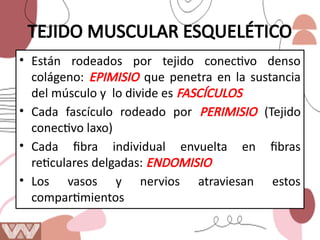 Tejido muscular.HistologiaMolecular.pptx