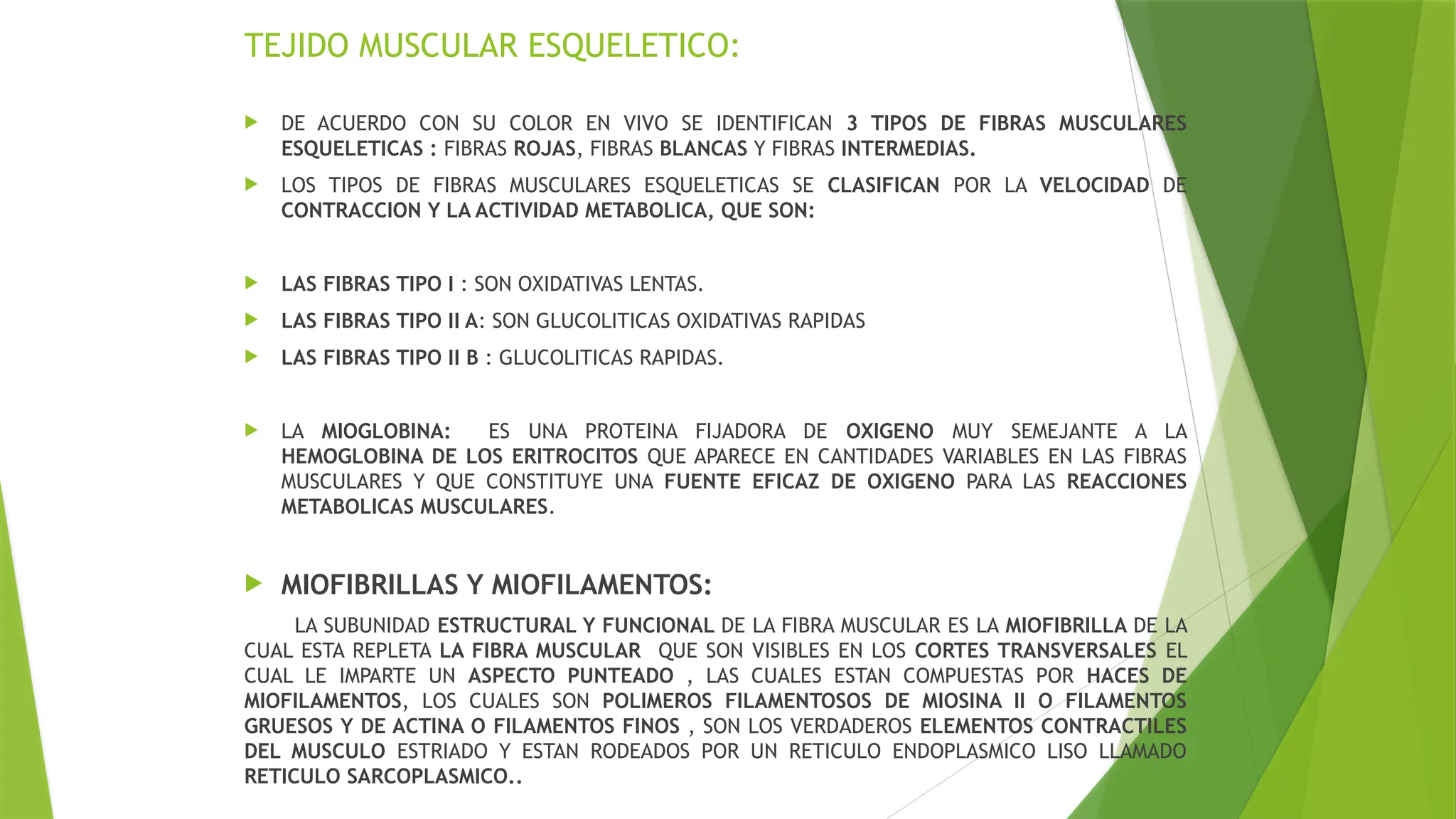 TEJIDO MUSCULAR.pptx histología general, primer año de medicina | PPTX